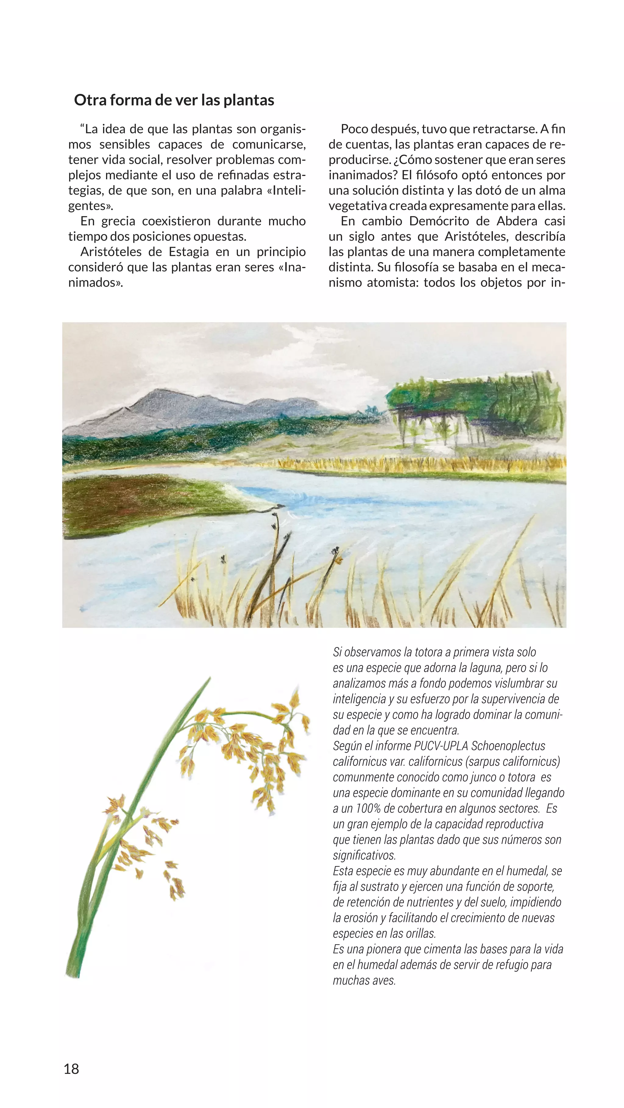 Daniela murillo carpeta_de_titulo_13.12.2021