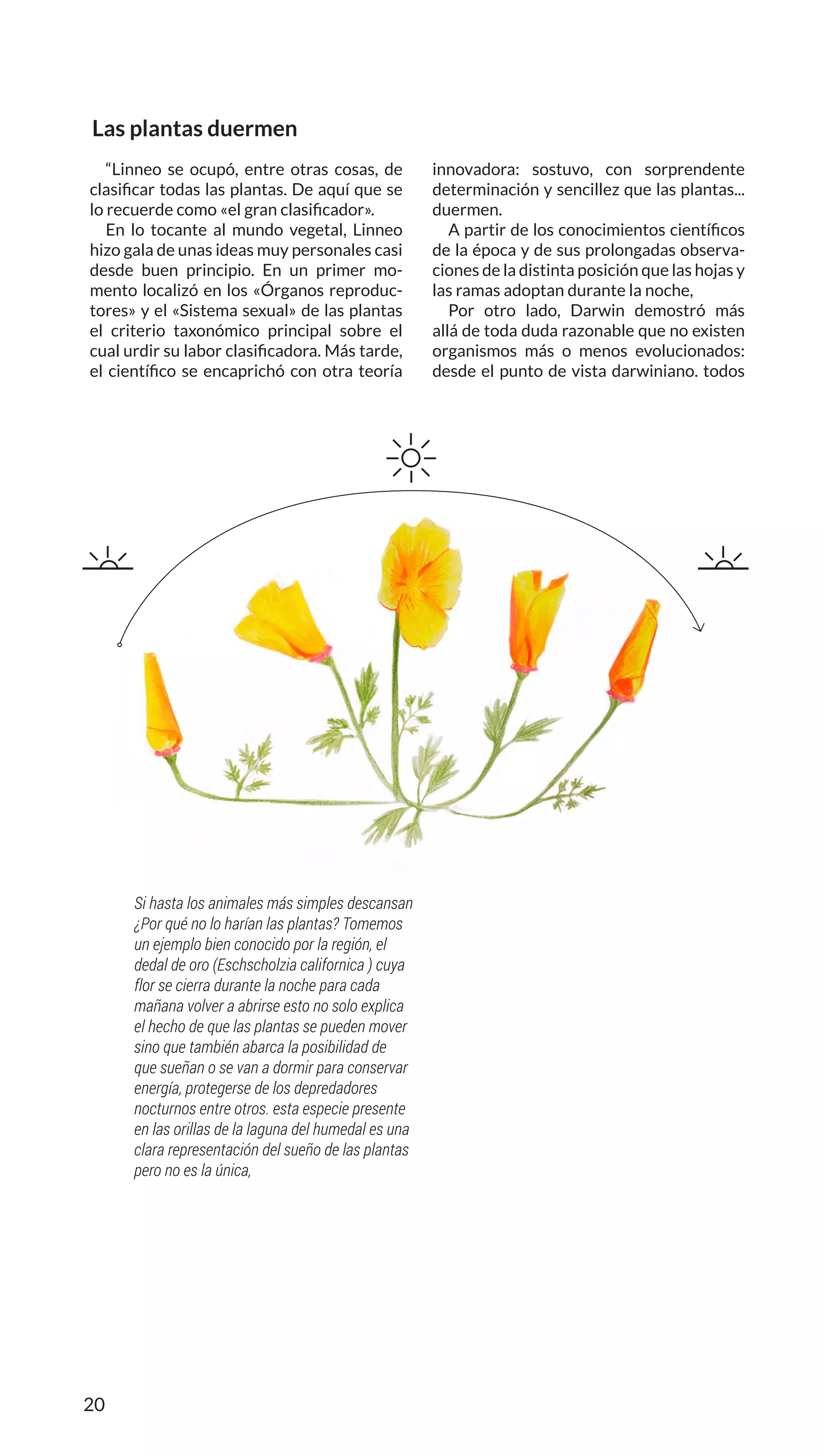 Daniela murillo carpeta_de_titulo_13.12.2021