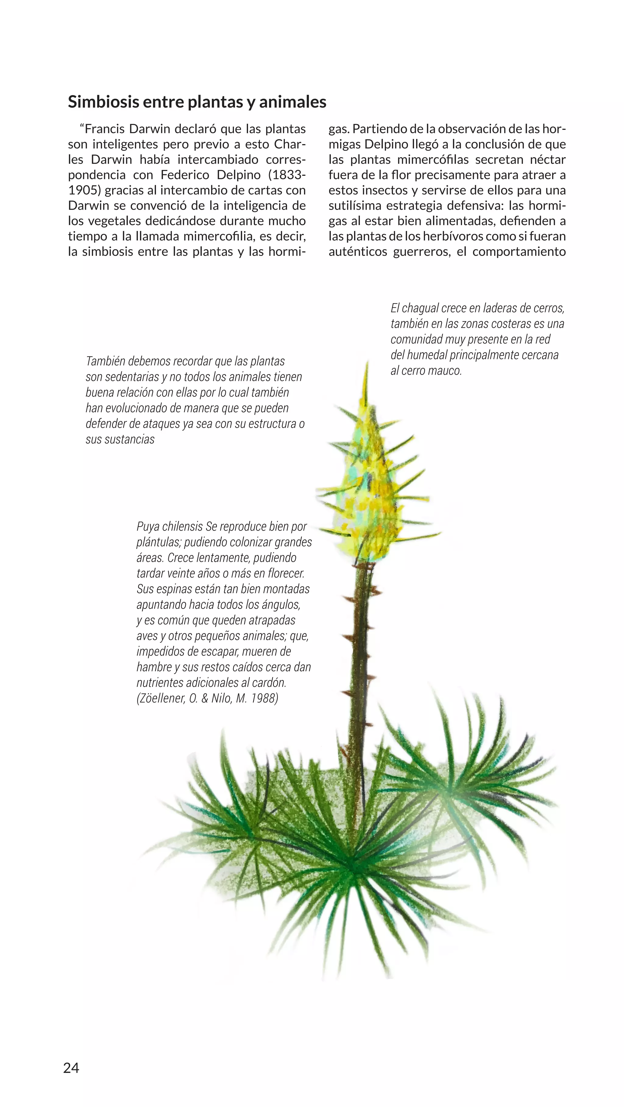 Daniela murillo carpeta_de_titulo_13.12.2021