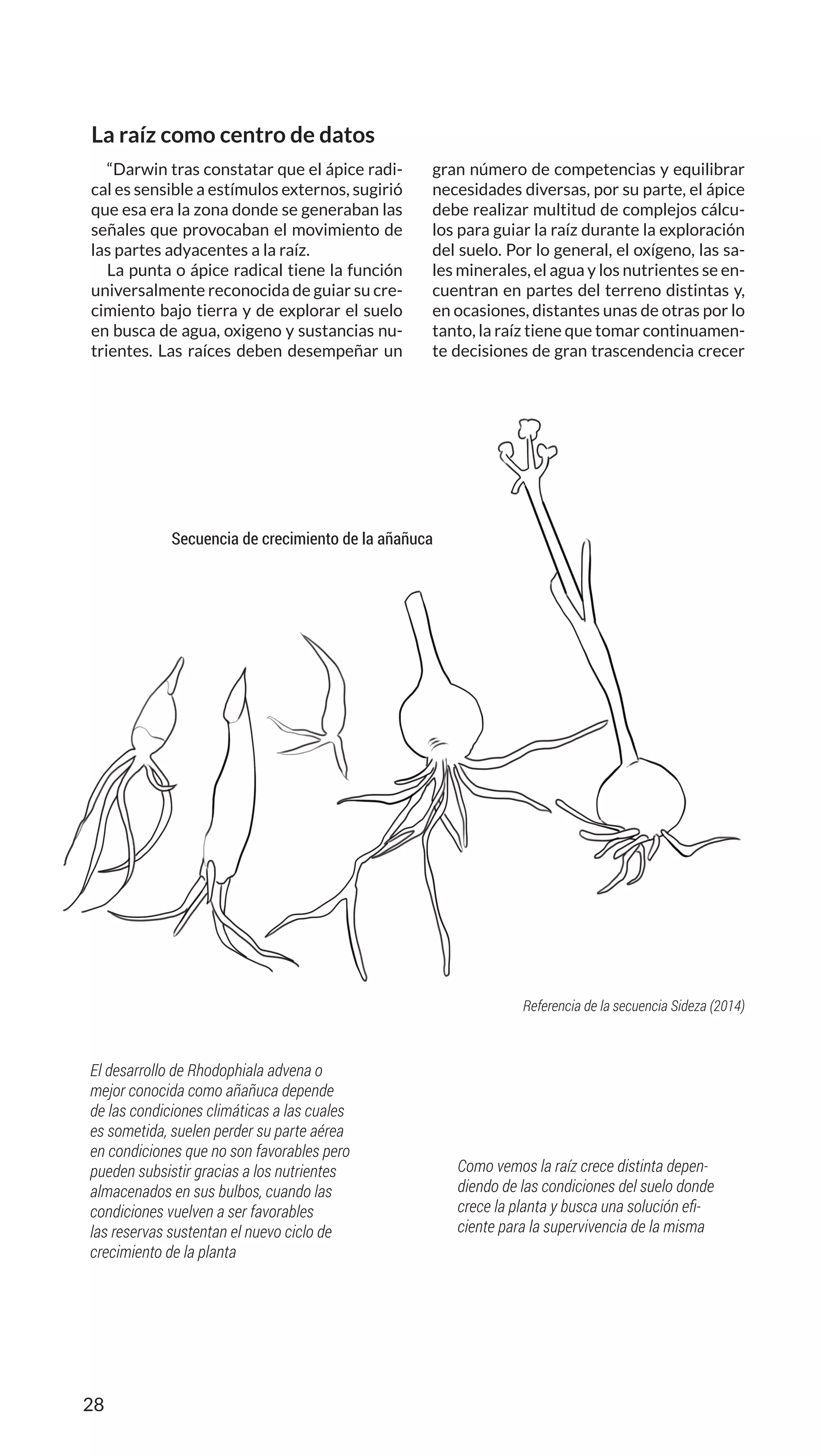 Daniela murillo carpeta_de_titulo_13.12.2021