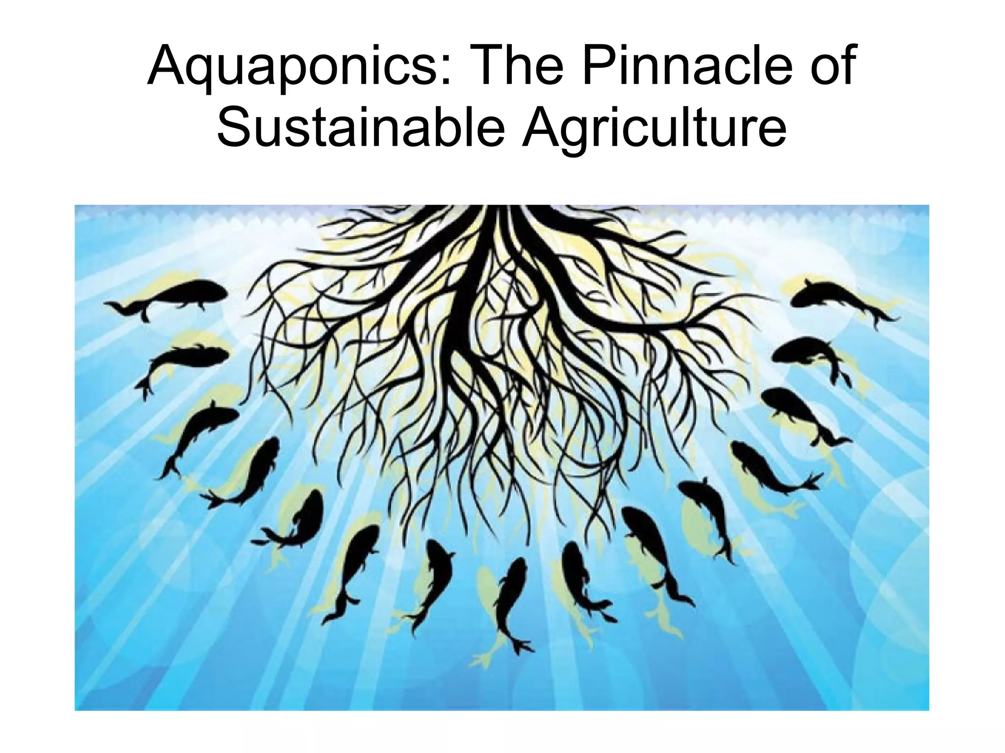 Aquaponics: Sustainable Agriculture | PPT