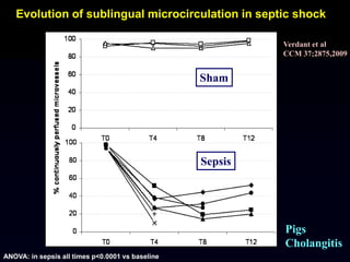 The Microcirculation in Sepsis | PPTX