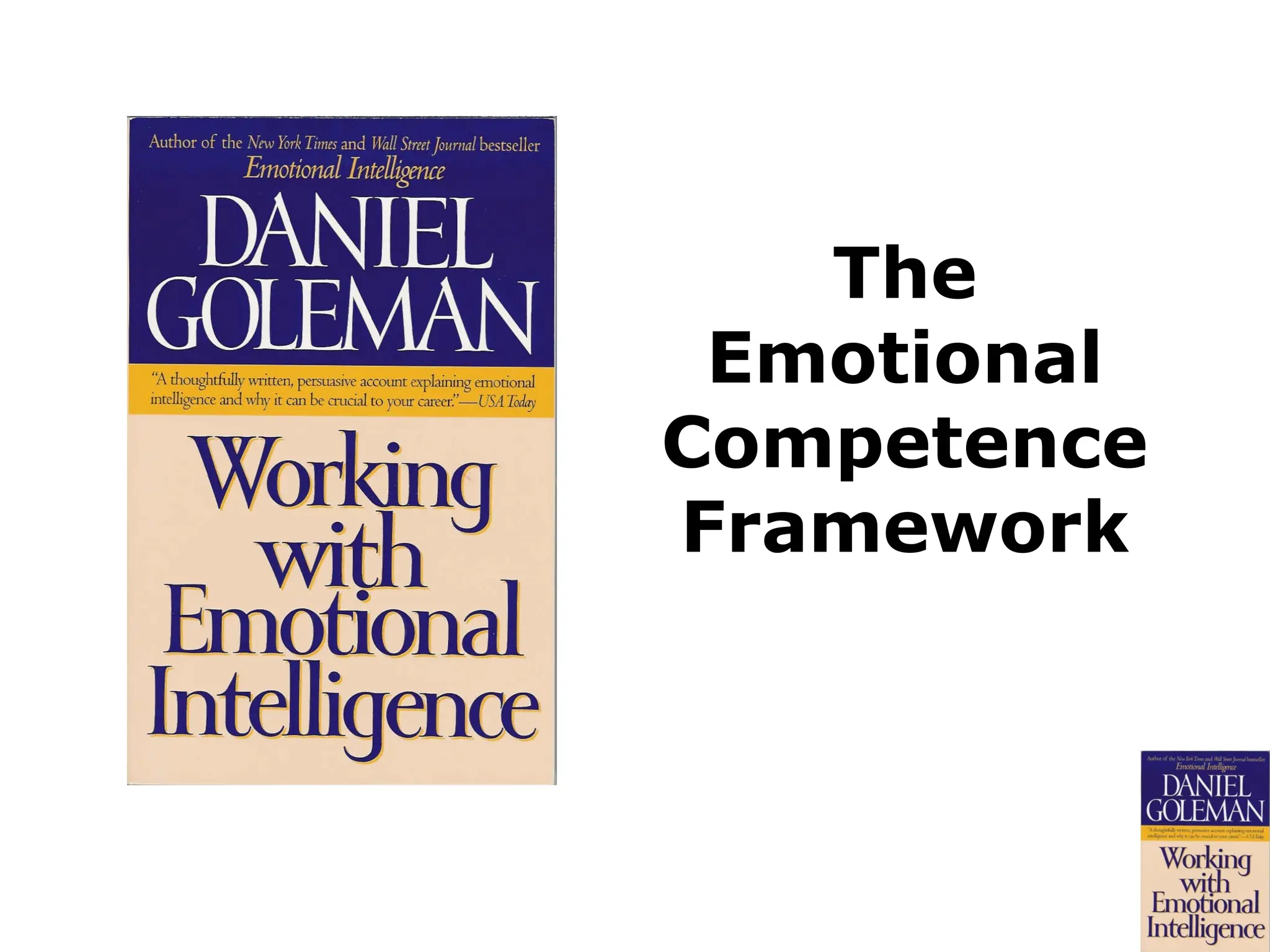 Daniel Goleman Competency Framework .ppt