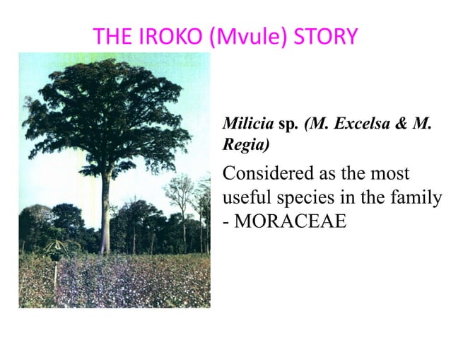 integrated approach to tree domestication and conservation of genetic ...