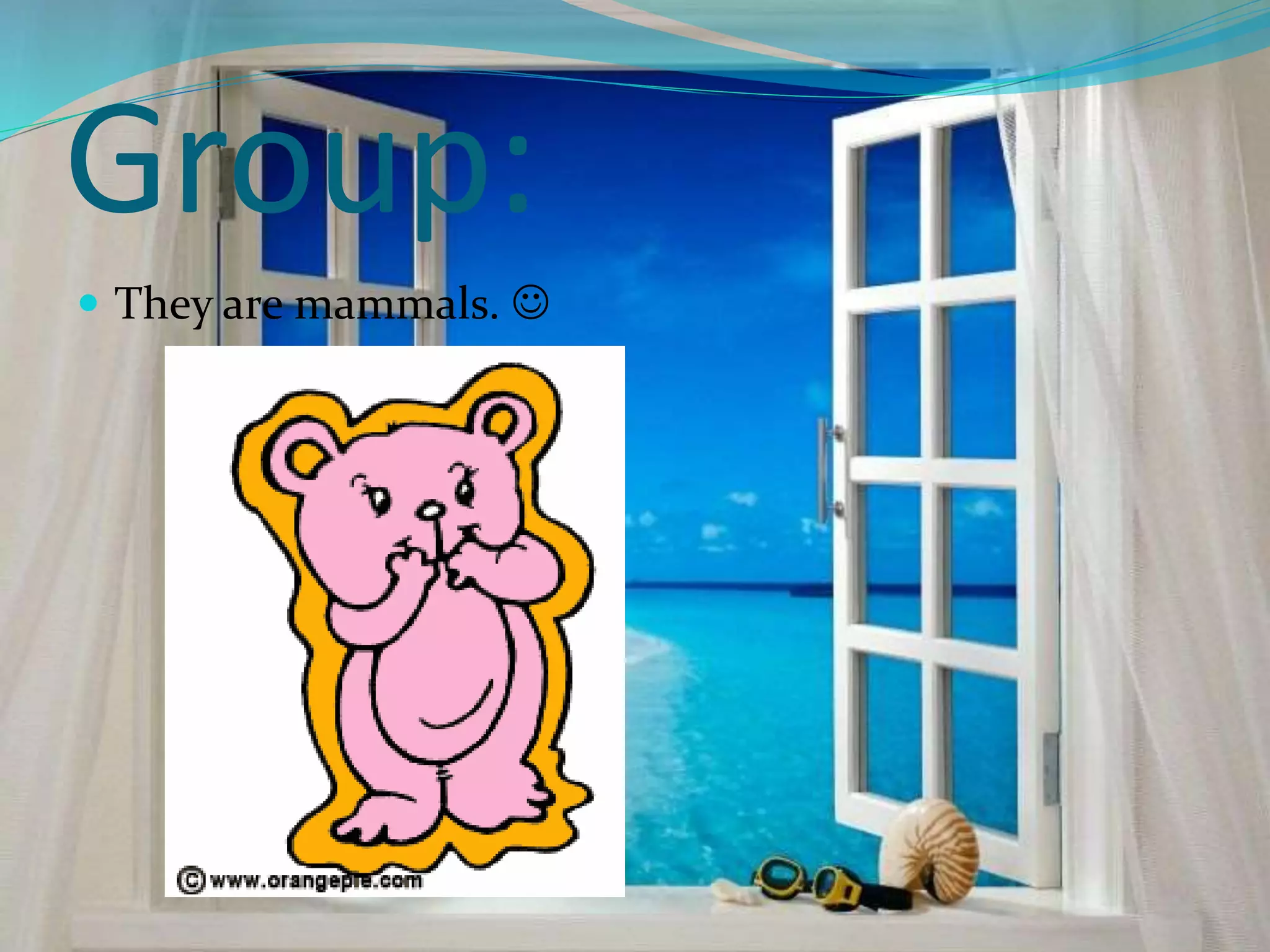 DANIEL and KERTH and MARC Po | PPTX