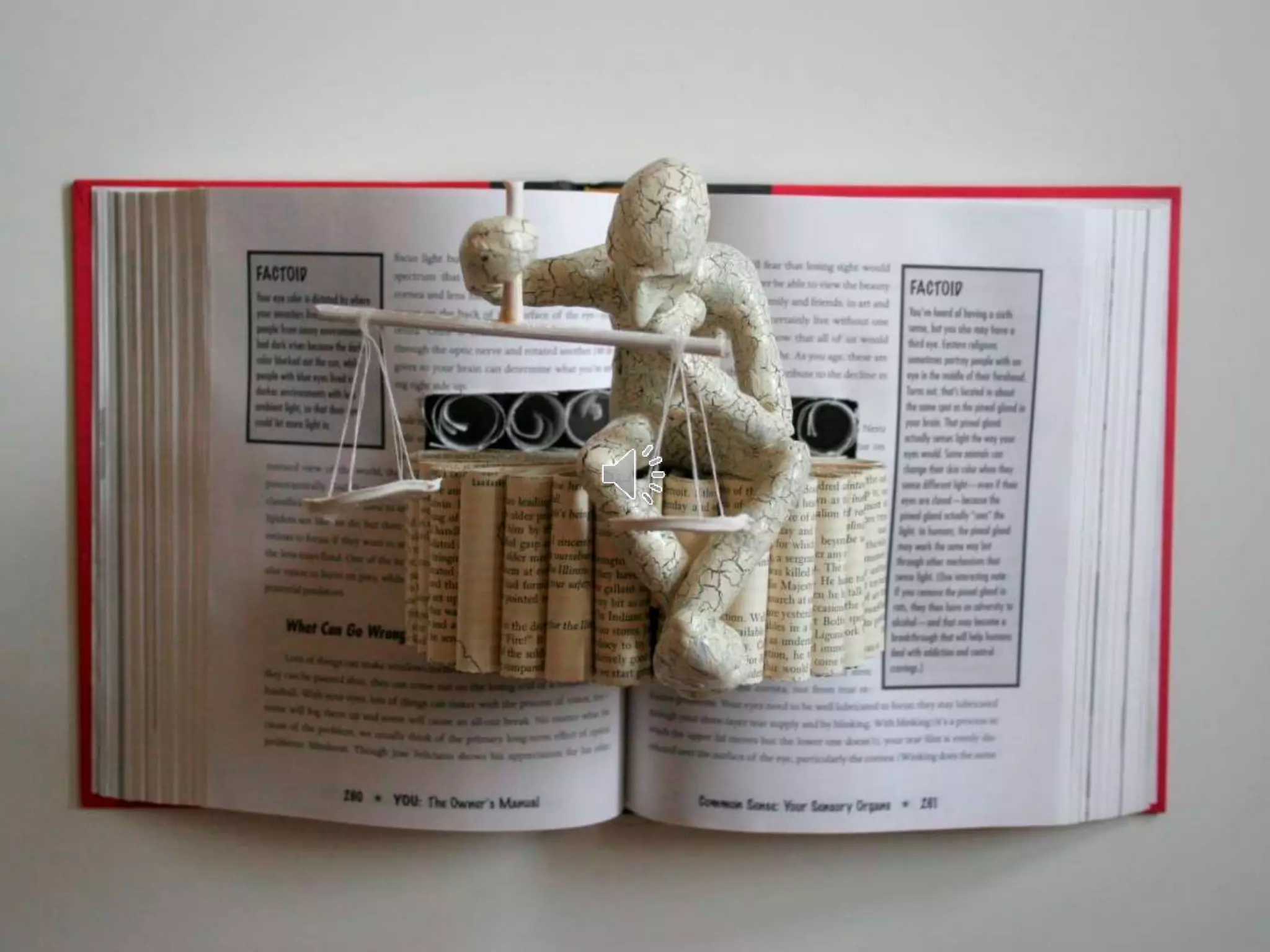 Contemplating Justice (Daniel Lai Kenjio, Book sculptures) | PPT