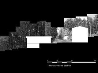 Daniel Lapinski Tissue Lane | PPTX