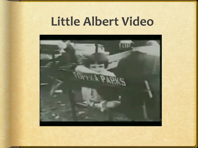 Danielle chen behaviorism | PPT