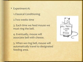 Danielle chen behaviorism | PPT