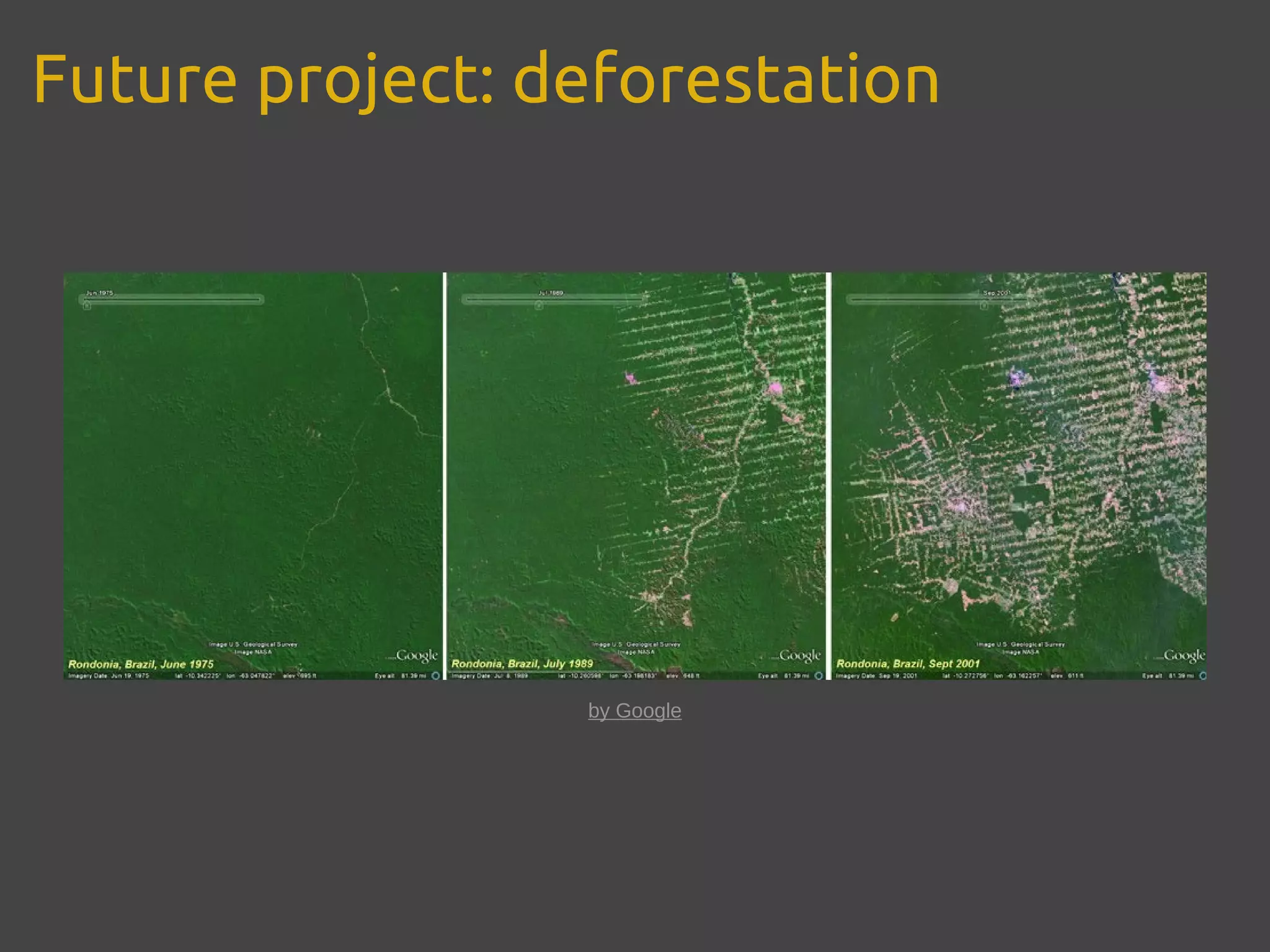 Volunteer mapping for deforestation | PDF