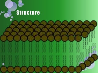 Cell Membrane Presentation | PPTX