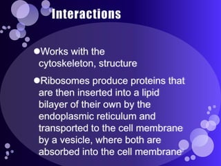 Cell Membrane Presentation | PPTX