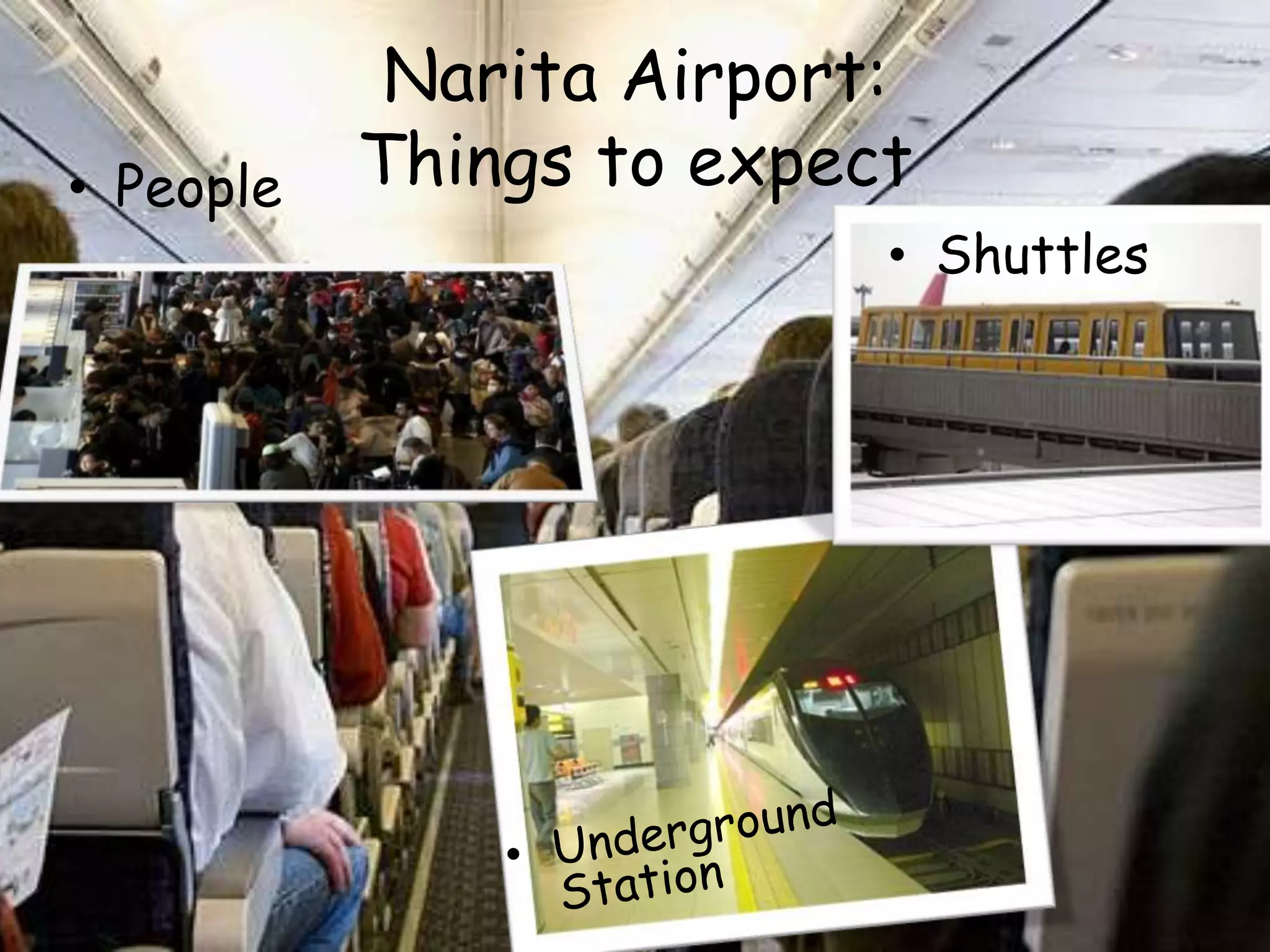 Daniel Morrish | PPT