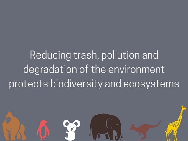 Daniel Neiditch: Why Go Green? | PDF