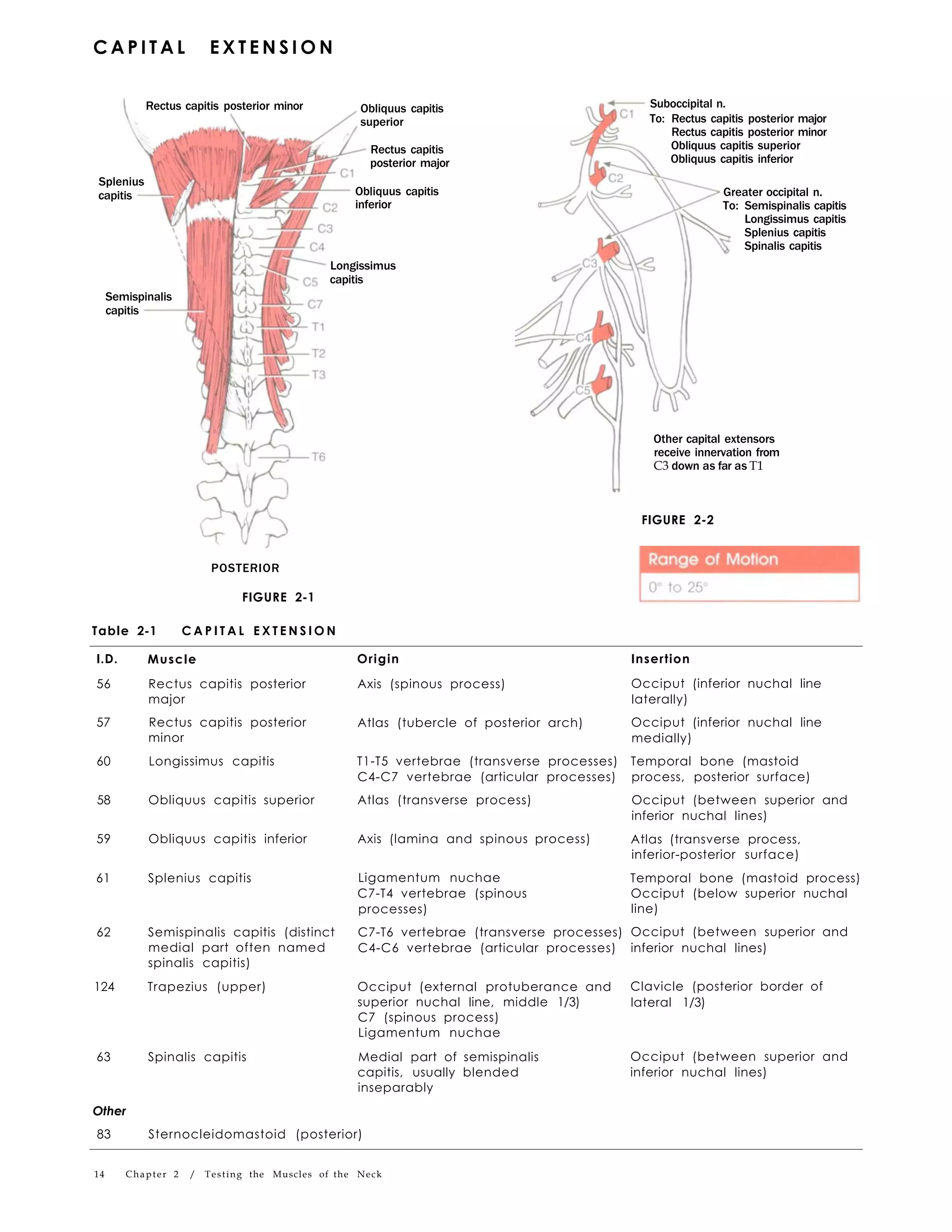 Daniels and Worthingham's Muscle Testing Techniques of Manual ...