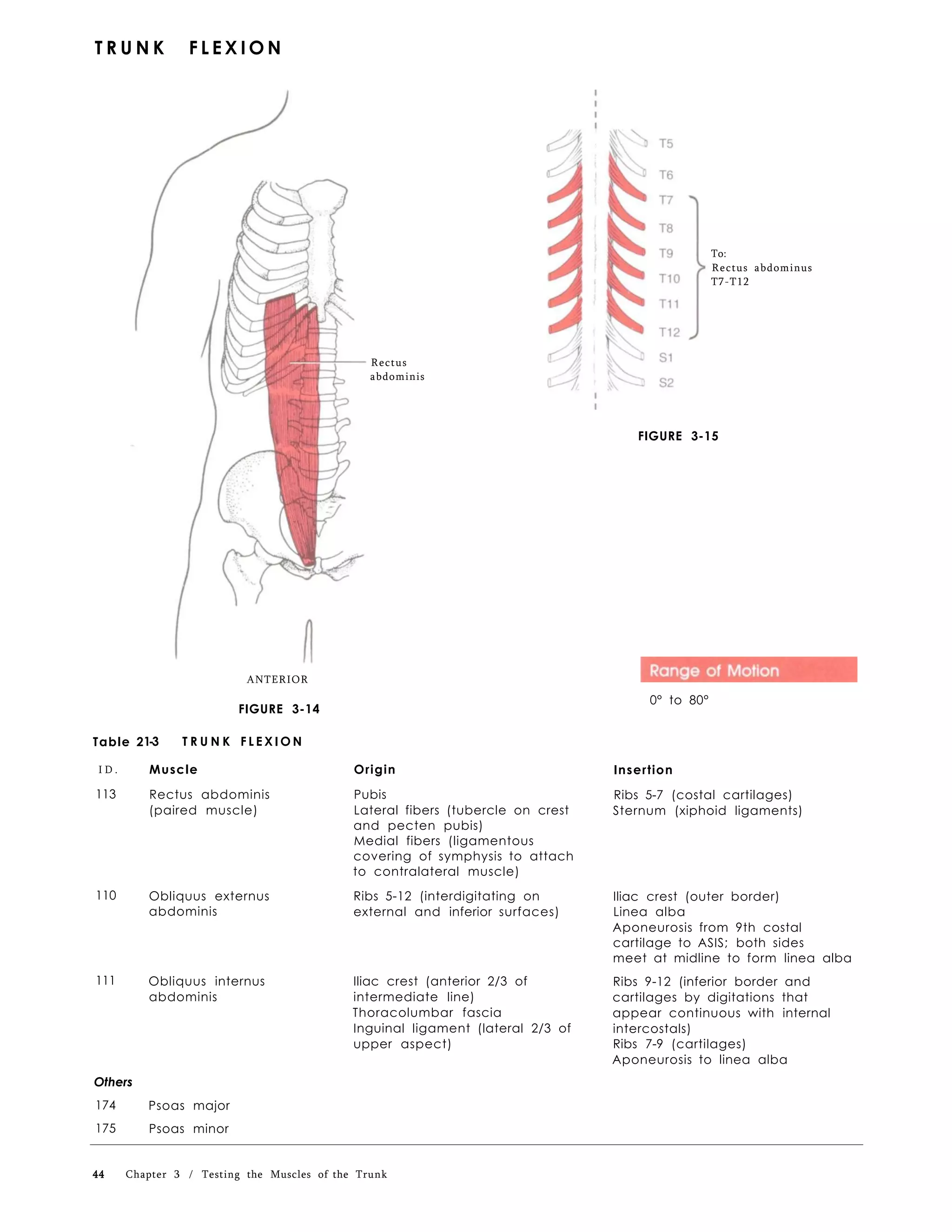 Daniels and Worthingham's Muscle Testing Techniques of Manual ...