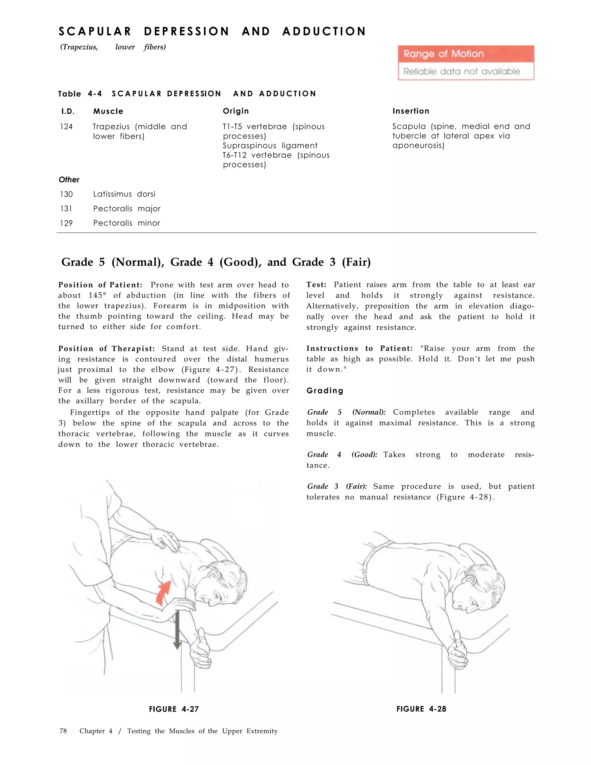 Daniels and Worthingham's Muscle Testing Techniques of Manual ...