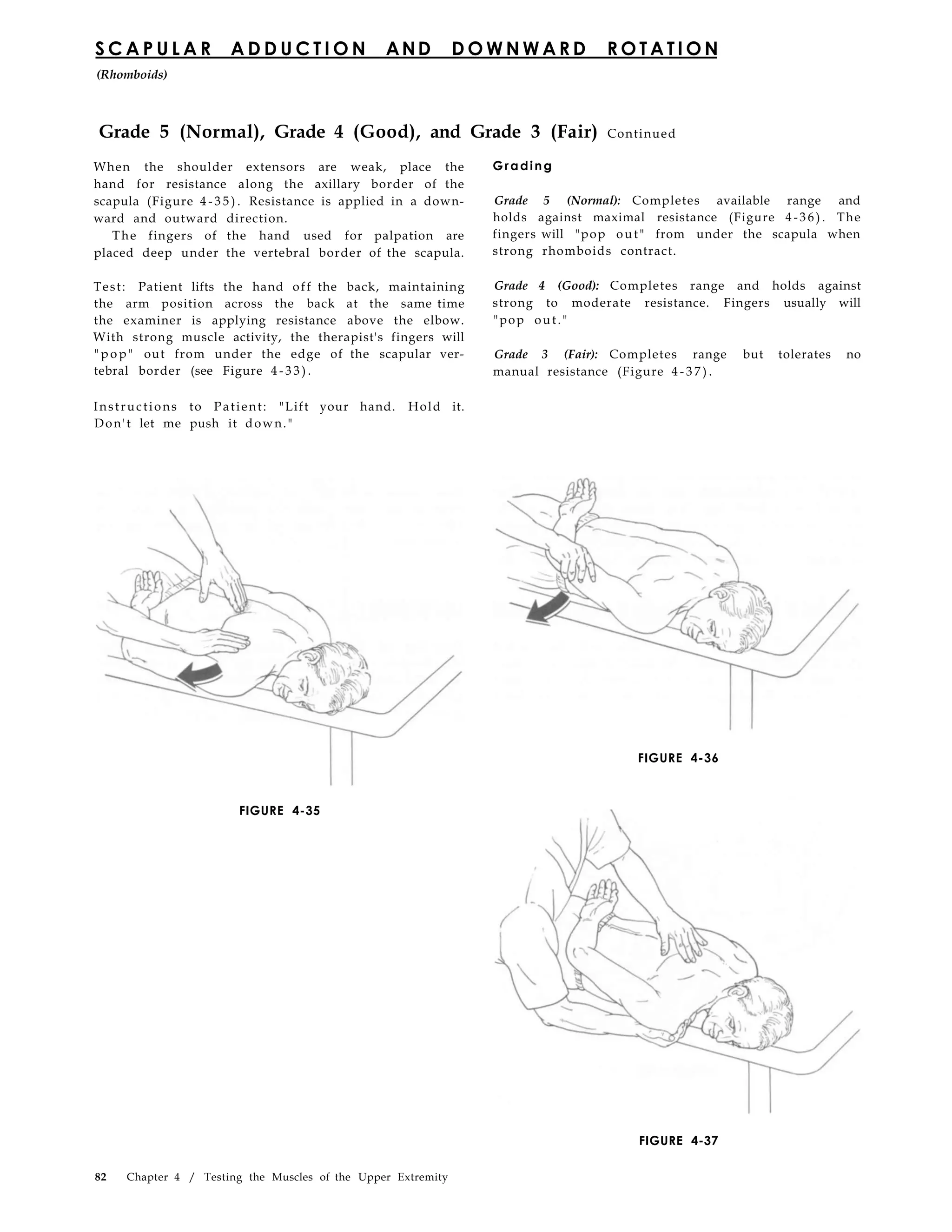 Daniels and Worthingham's Muscle Testing Techniques of Manual ...