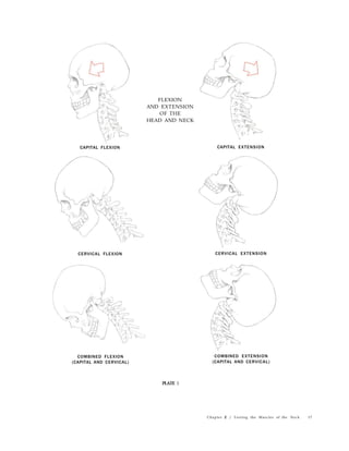 Daniels and Worthingham's Muscle Testing Techniques of Manual ...