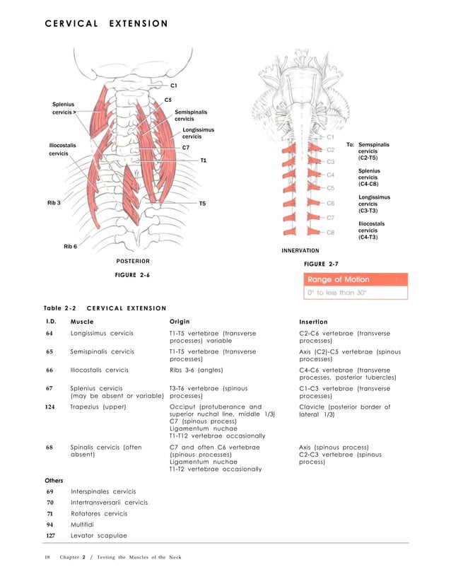 Daniels and Worthingham's Muscle Testing Techniques of Manual ...