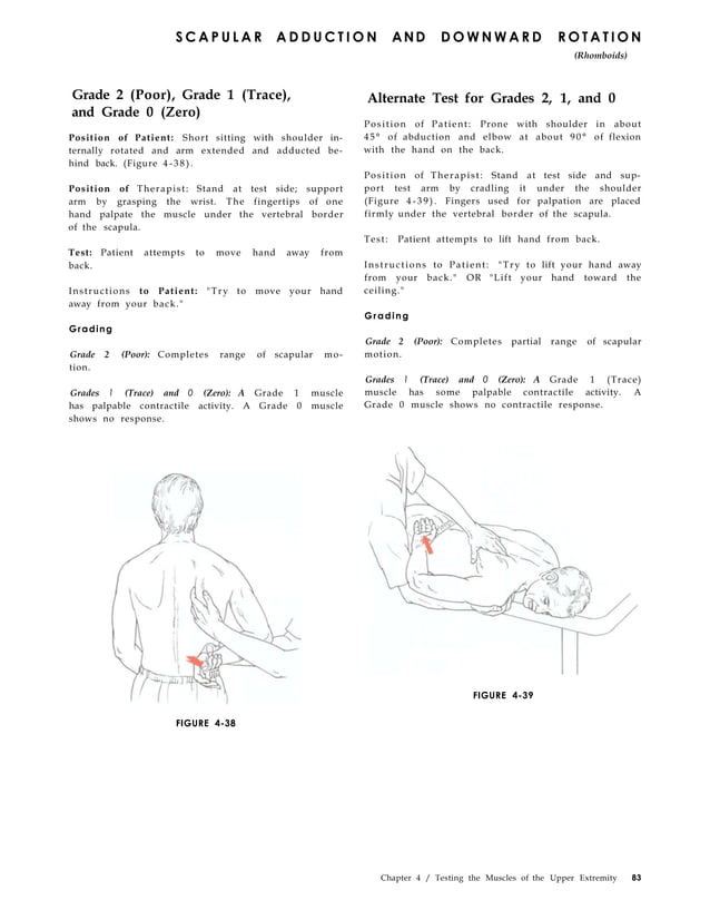 Daniels and Worthingham's Muscle Testing Techniques of Manual ...