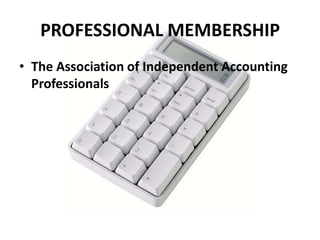 Daniel Stoica Accounting Professional | PPTX