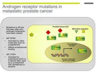 Clinical Utility of Droplet Digital PCR on Liquid Biopsies from ...