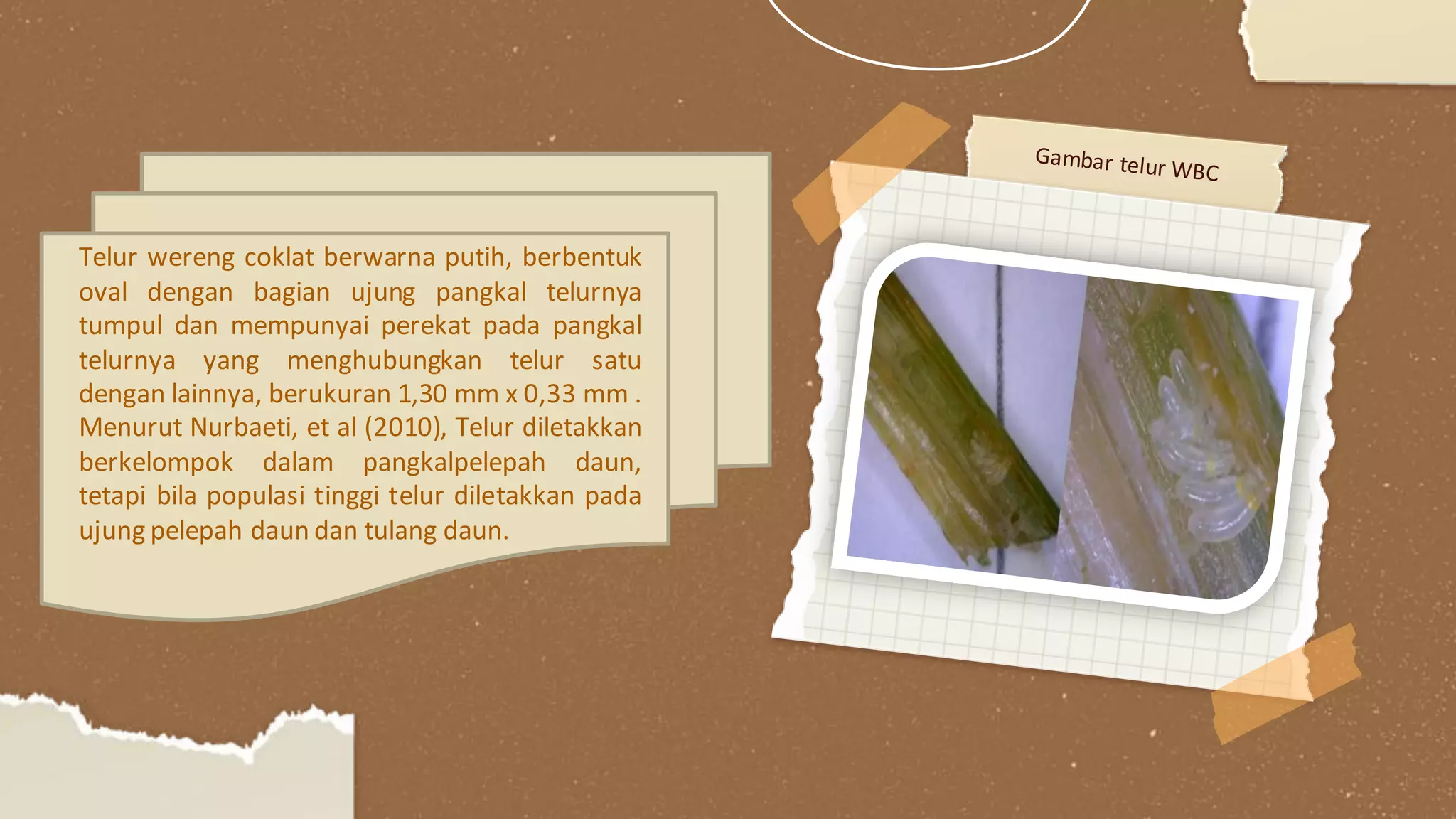 Dani irawan_kel 3_2204012.pdf