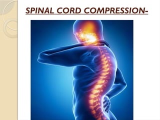 spinal cord compression , spinal problems ppt | PPTX