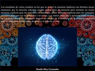 Danilo Díaz Granados - Memoria Implícita, Definición, Tipos y ...