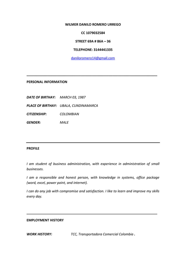 Danilo romero cv | DOCX