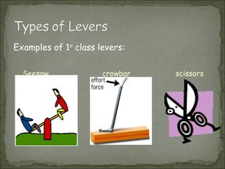 Danish's lever ppt | PPT