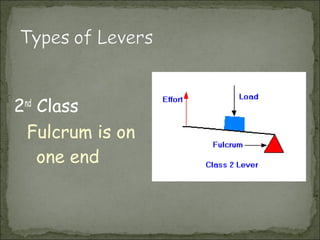 Danish's lever ppt | PPT