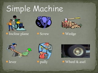 Danish's lever ppt | PPT