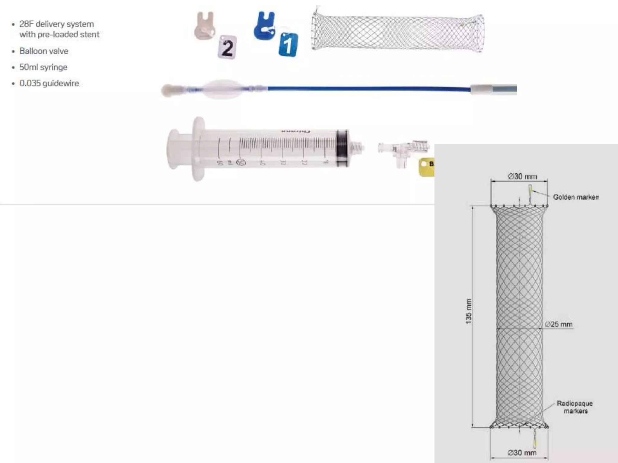 Ella Danis stent | PPTX | Digestive Disorders | Diseases and Conditions