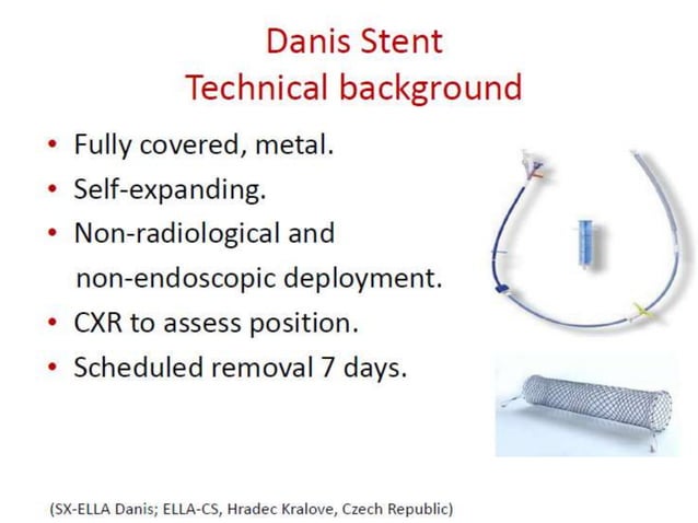 Ella Danis stent | PPT