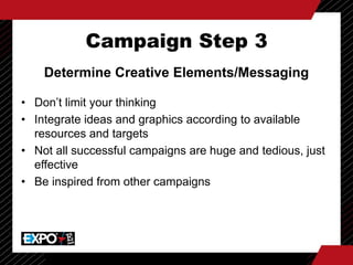 Building an effective promotional campaign | PDF