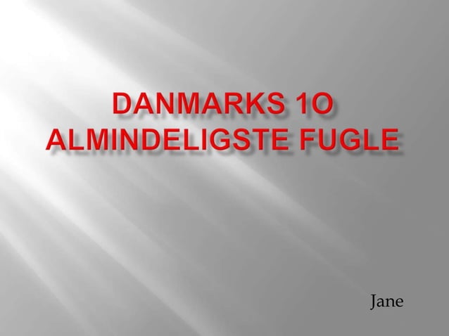 Danmarks 1o almindeligste fugle.ny
