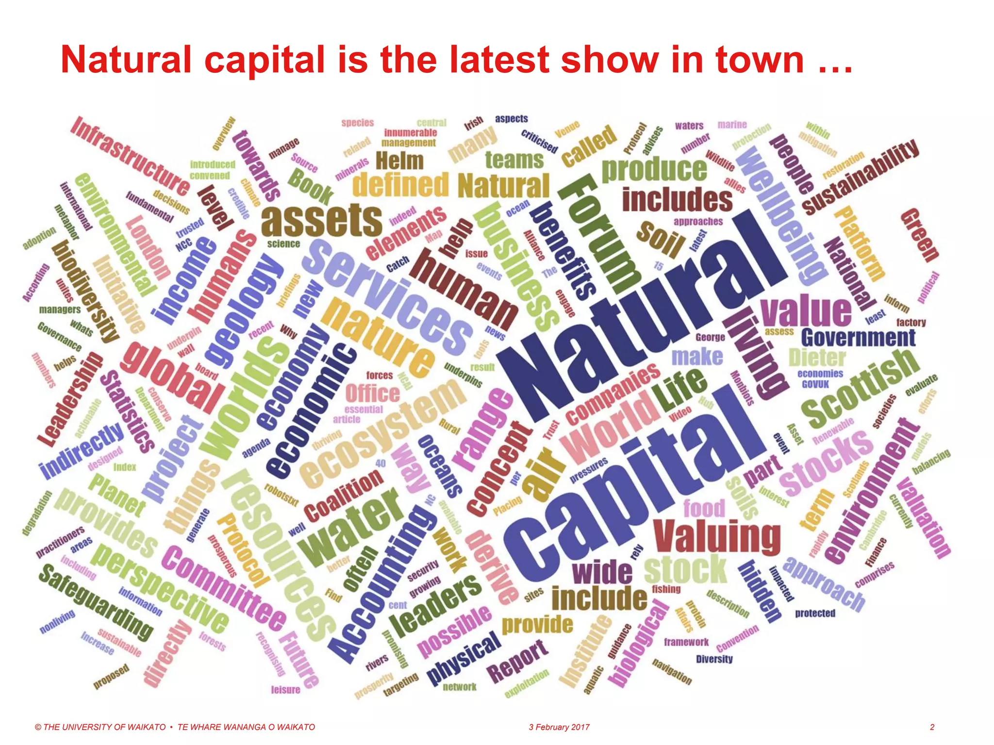 Natural Capital and Environmental Decision Making | PDF