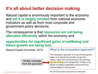 Natural Capital and Environmental Decision Making | PDF