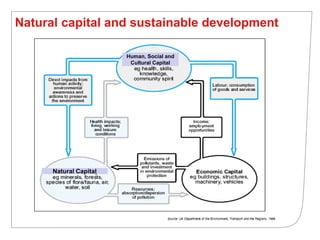 Natural Capital and Environmental Decision Making | PPT