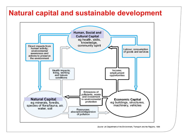 Natural Capital and Environmental Decision Making | PPT