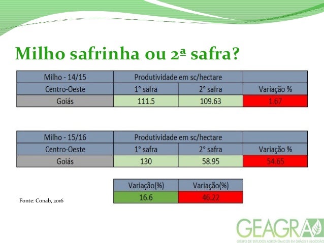 MIlho 2° safra