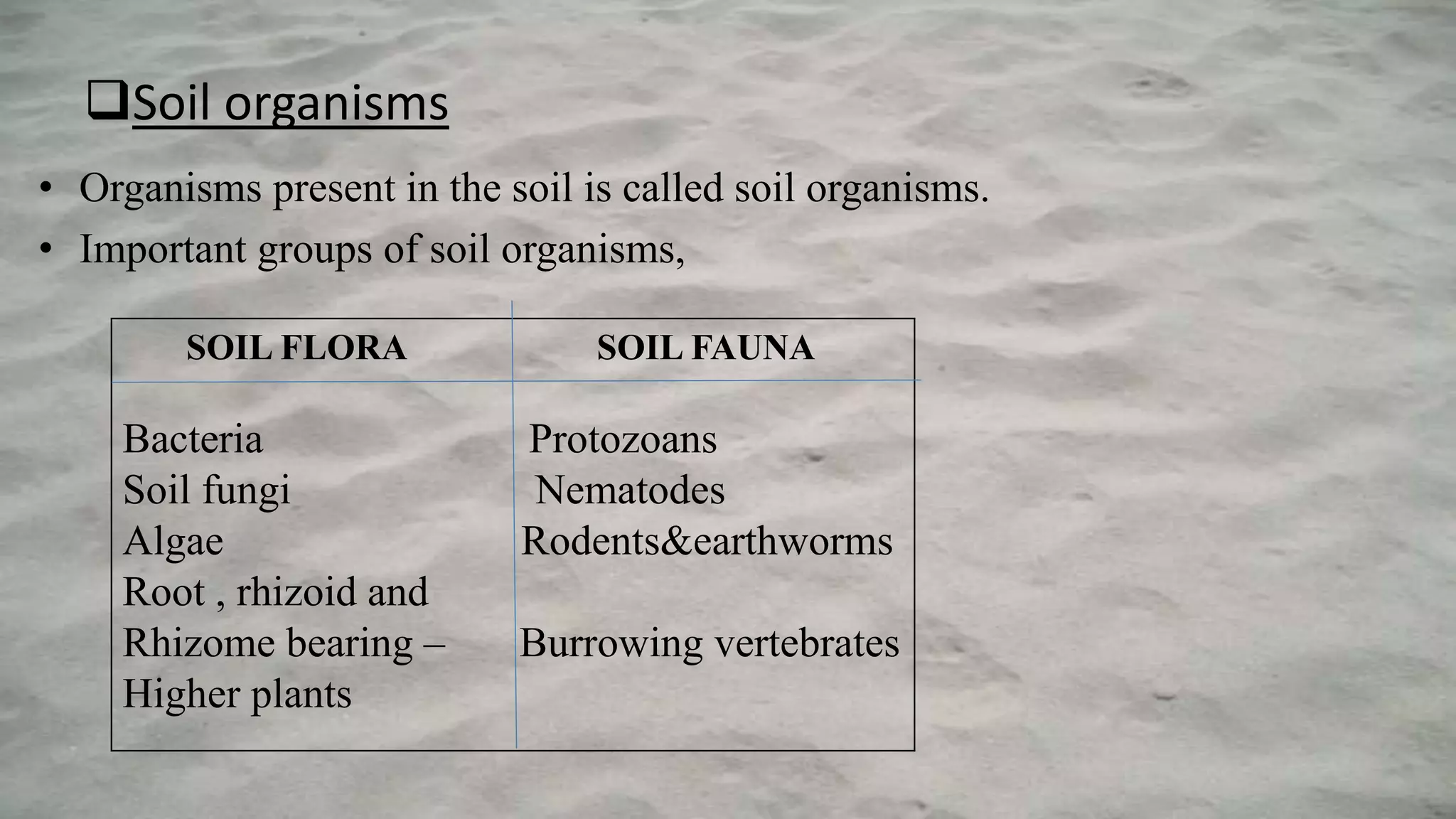 edaphic factors | PPTX