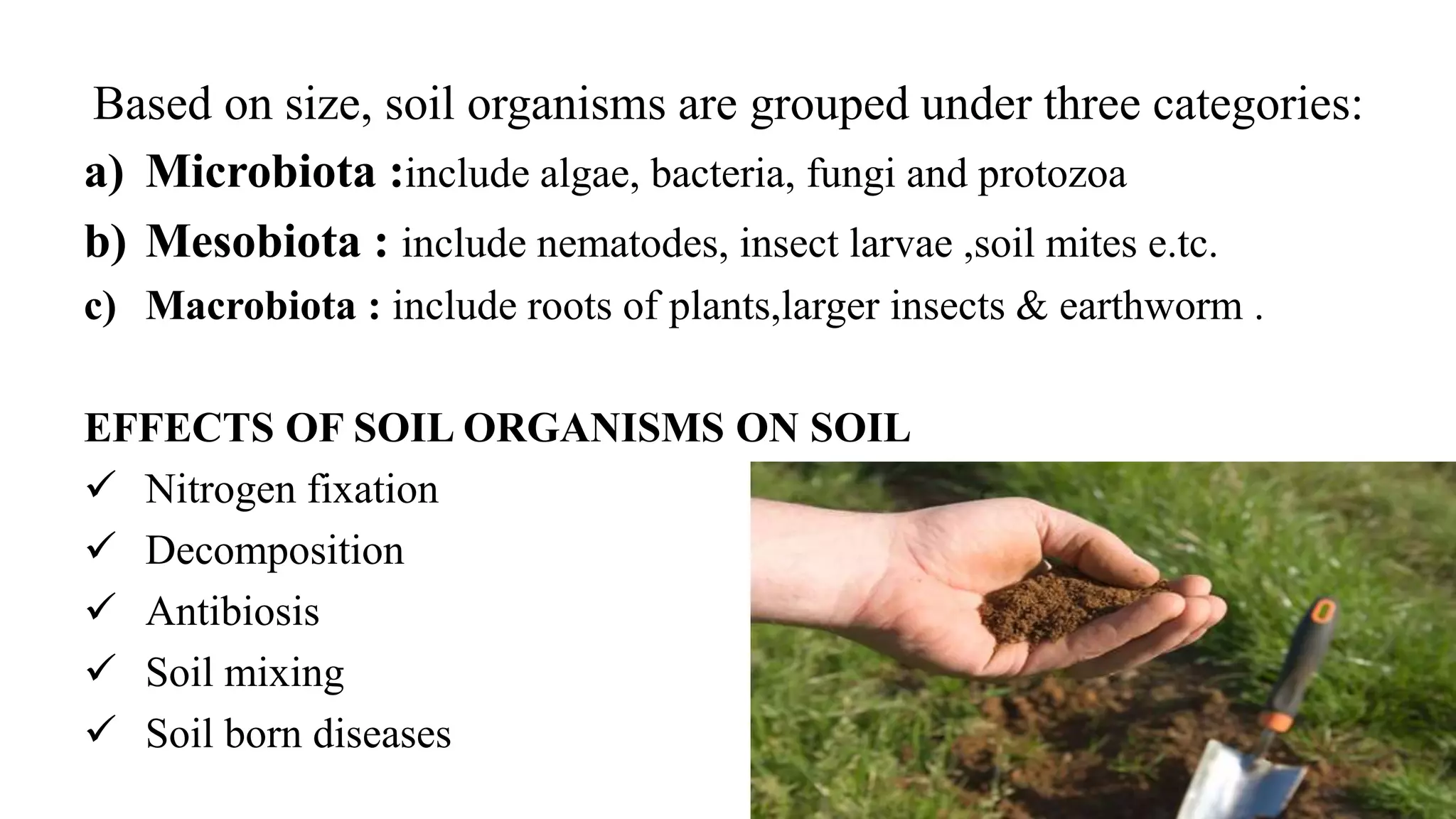 edaphic factors | PPTX
