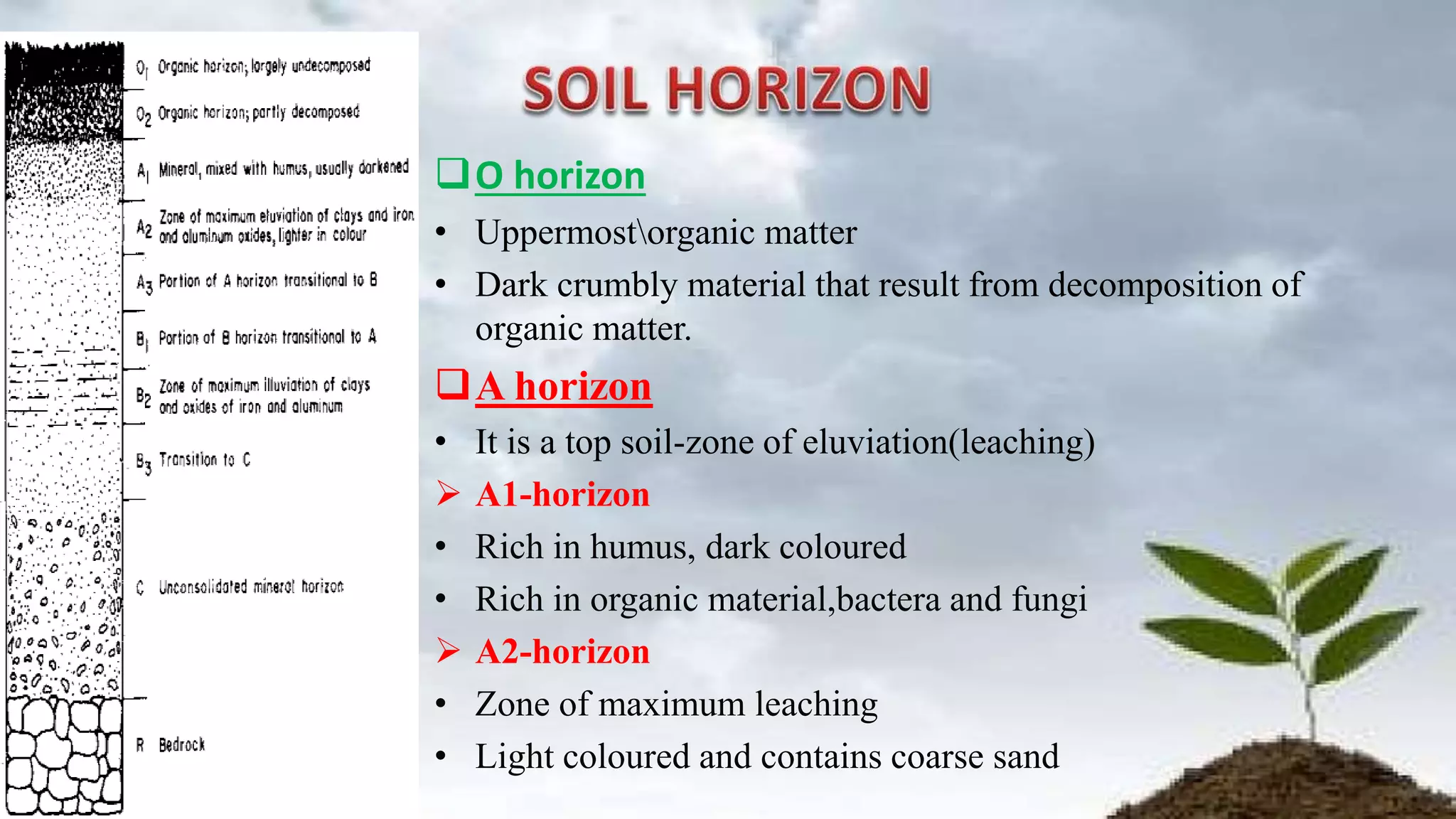 edaphic factors | PPTX