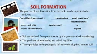 edaphic factors | PPTX