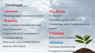 edaphic factors | PPTX
