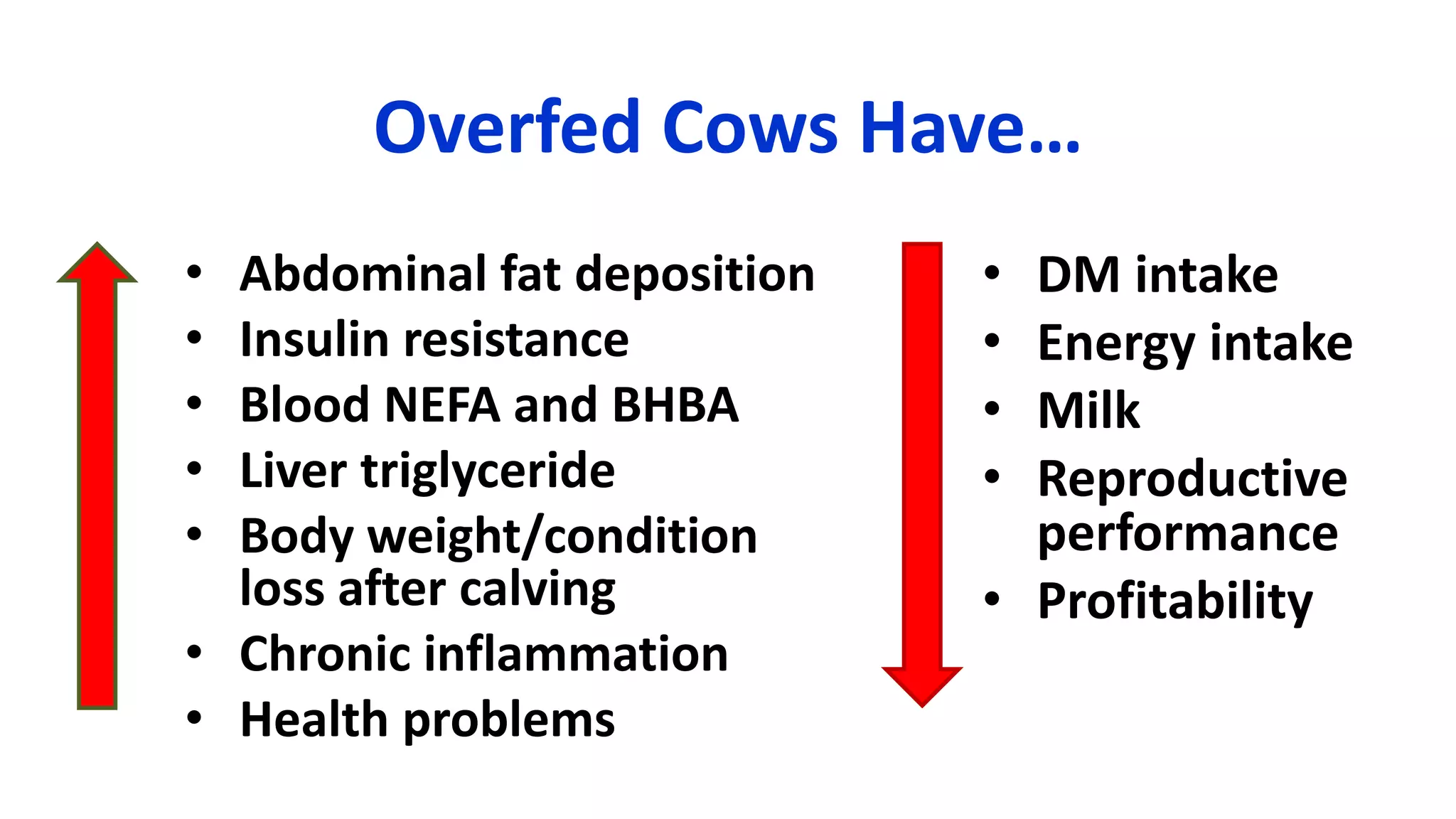 Feeding Dry Dairy Cows Lower Energy Diets | PPTX