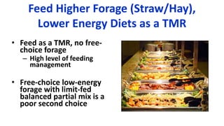 Feeding Dry Dairy Cows Lower Energy Diets | PPTX